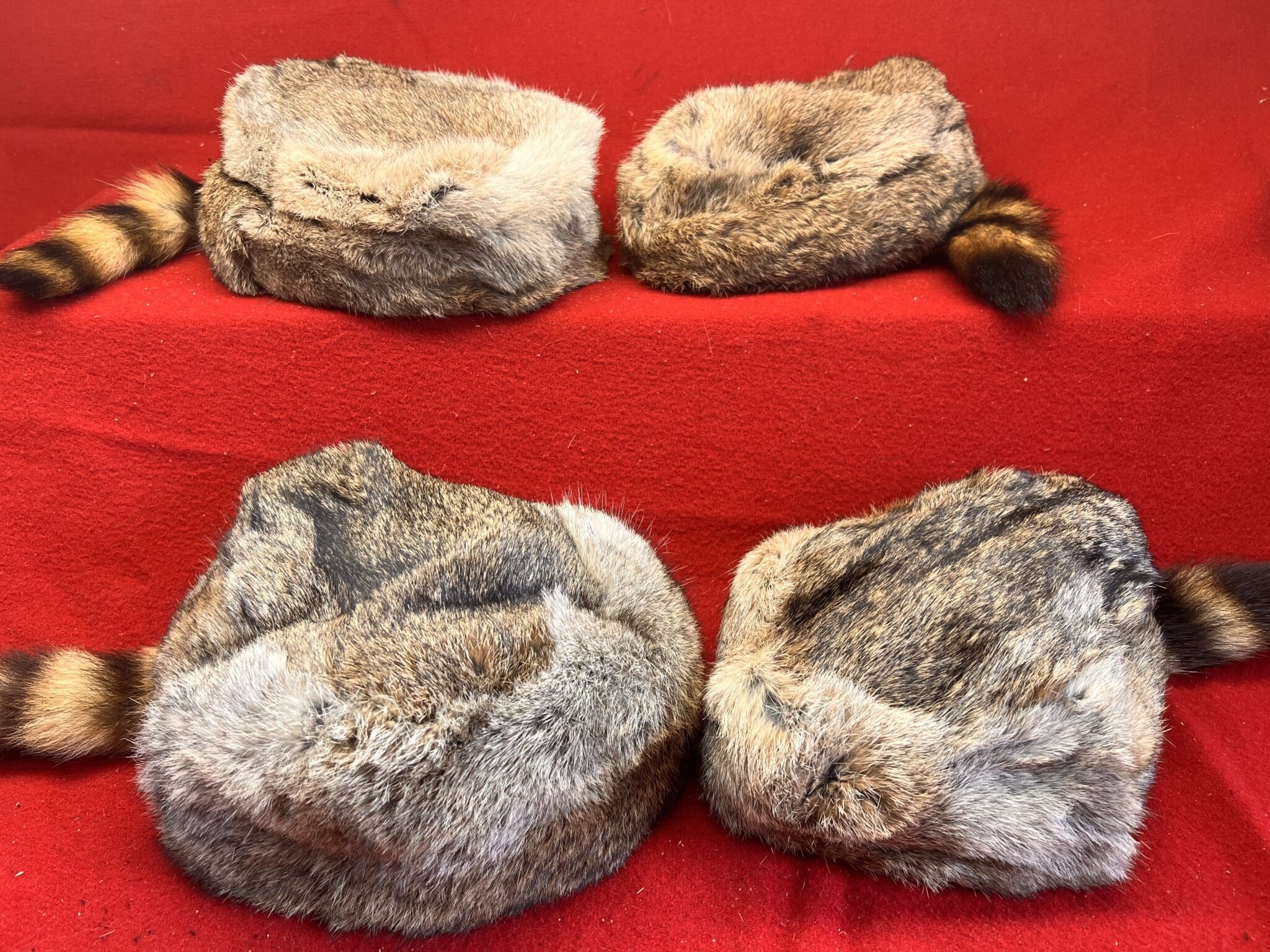 Coon tail Rabbit Hats/4 Sizes Available - Kentucky Leather and Hides